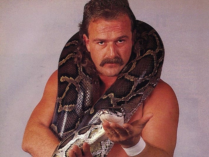 wwe jake the snake coloring pages